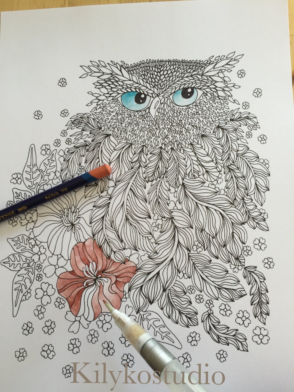 Feathery Owl & Flowers Adult Coloring Page Instant Digital Download Pdf ...