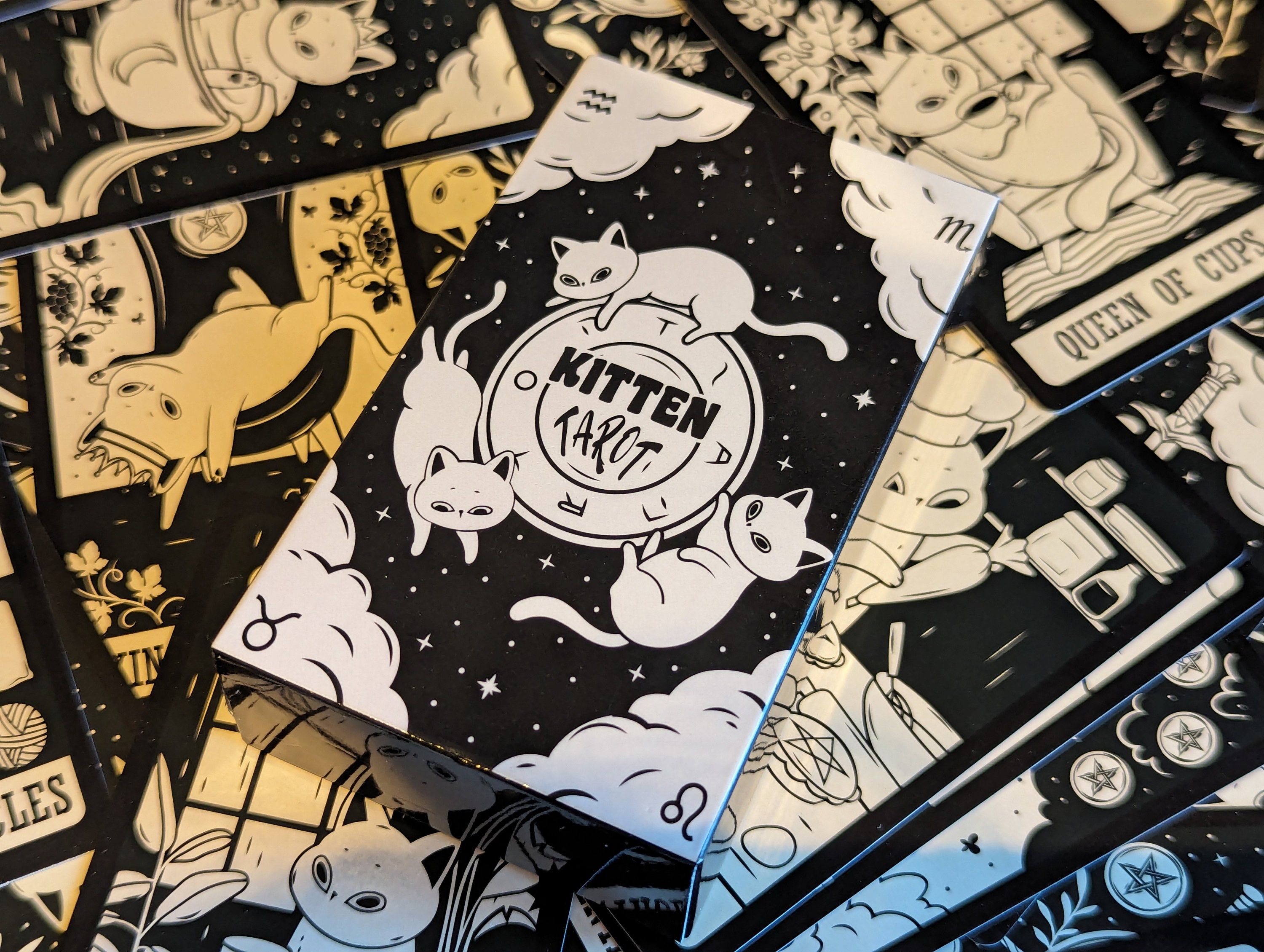 Cute Kitten Tarot Deck - Etsy