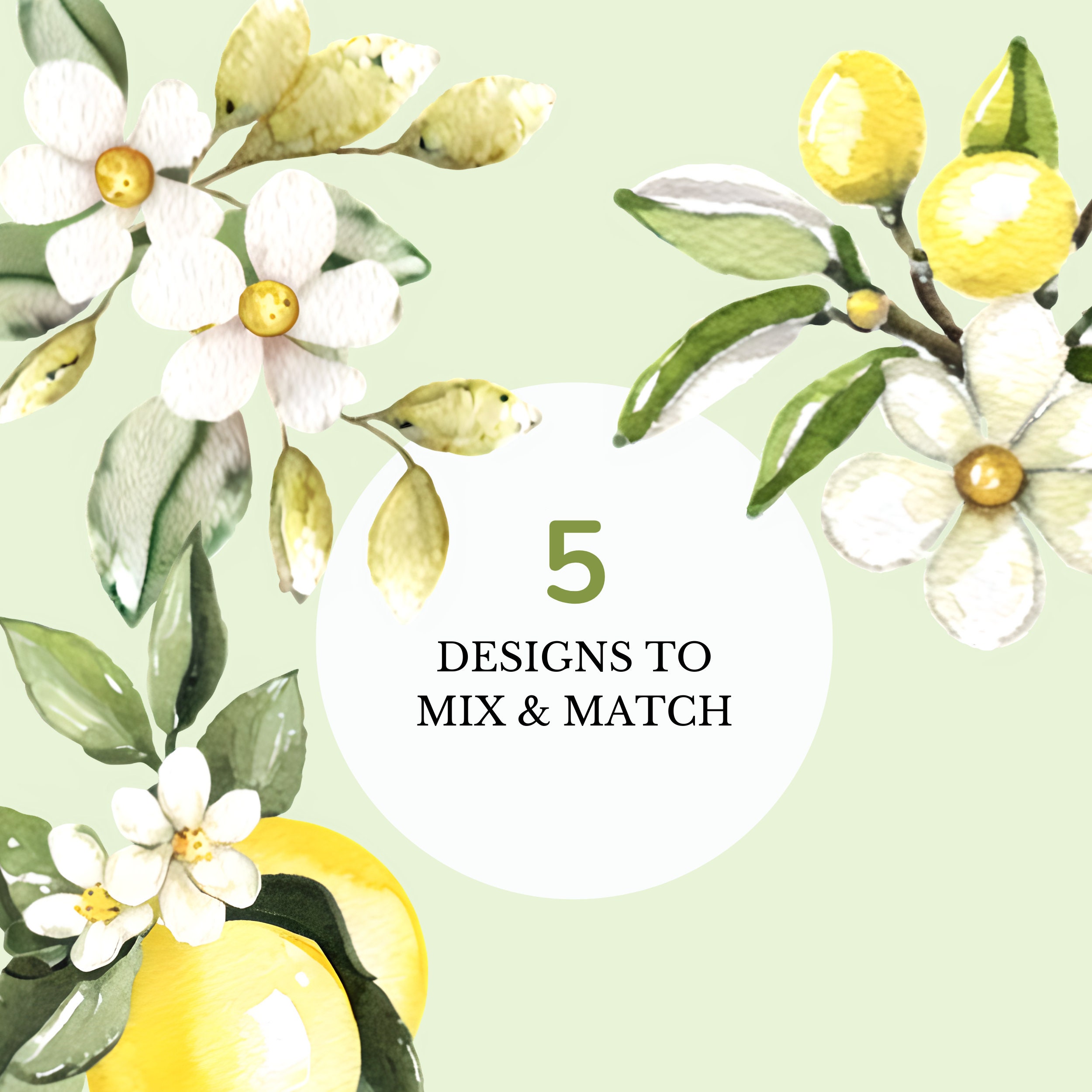 5 Lemon Blossom Watercolor Clipart, Lemon SVG, Blossom Floral Summer ...