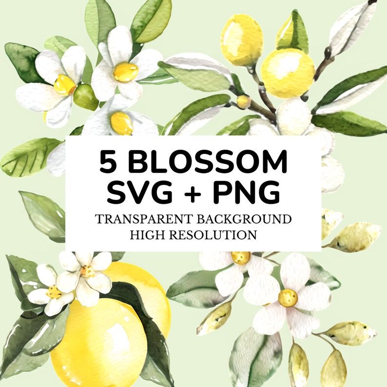 5 Lemon Blossom Watercolor Clipart, Lemon SVG, Blossom Floral Summer ...