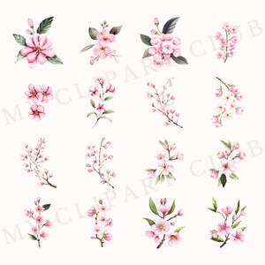 80 PNG Watercolor Cherry Blossom Bundle, Blossom PNG, Cherry Blossom ...