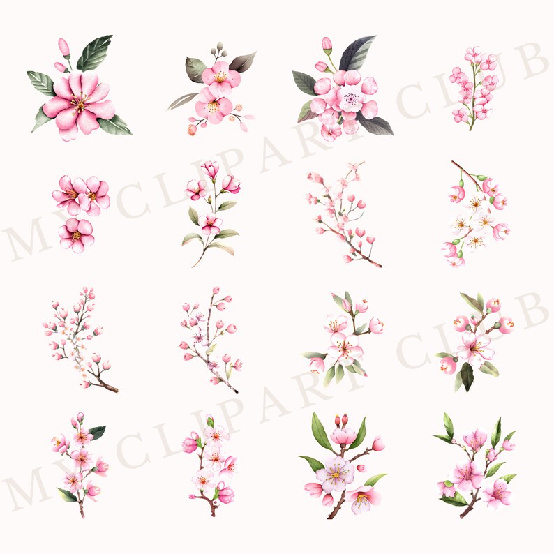 80 PNG Watercolor Cherry Blossom Bundle, Blossom PNG, Cherry Blossom ...