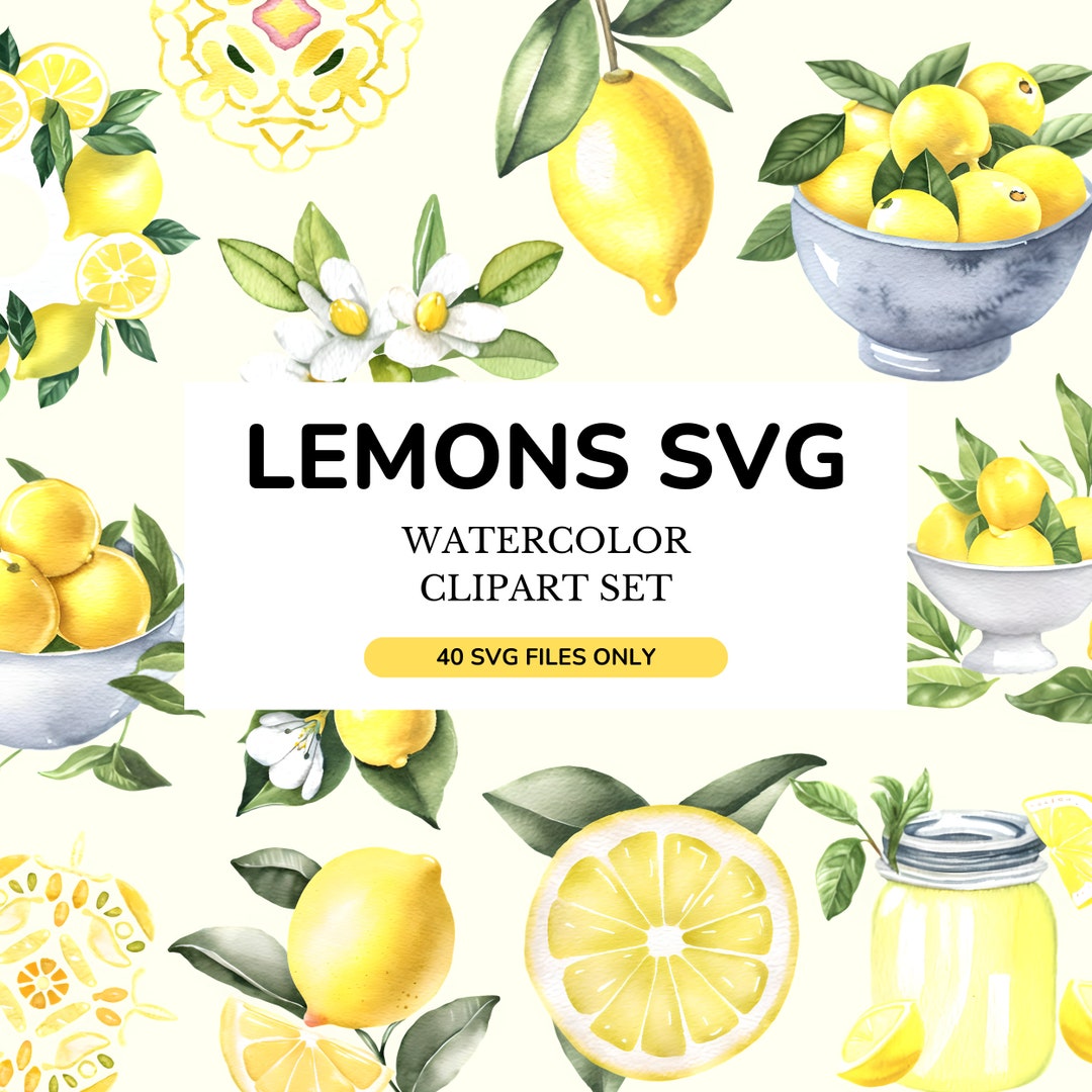 40 SVG Watercolor Lemons Clipart, Lemon SVG, Lemonade, Blossom Floral ...