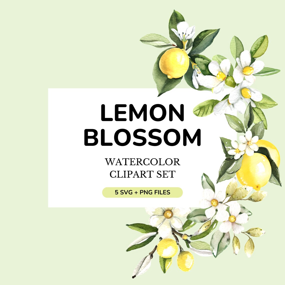5 Lemon Blossom Watercolor Clipart, Lemon SVG, Blossom Floral Summer ...