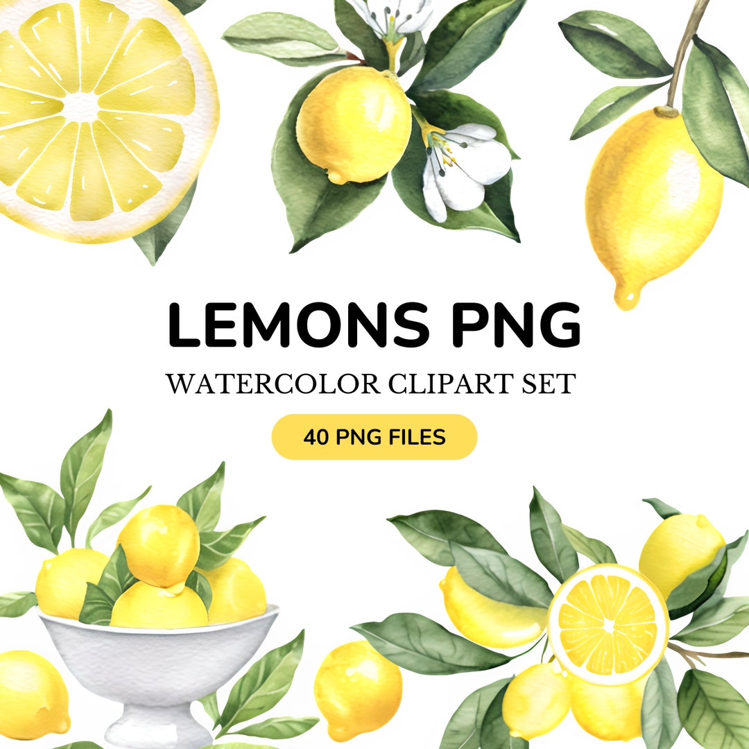 40 Watercolor Lemon Clipart, Lemon PNG, Lemonade, Blossom Floral Summer ...