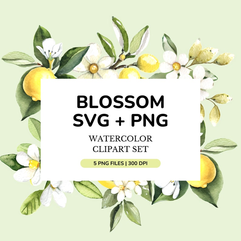 5 Lemon Blossom Watercolor Clipart, Lemon SVG, Blossom Floral Summer ...