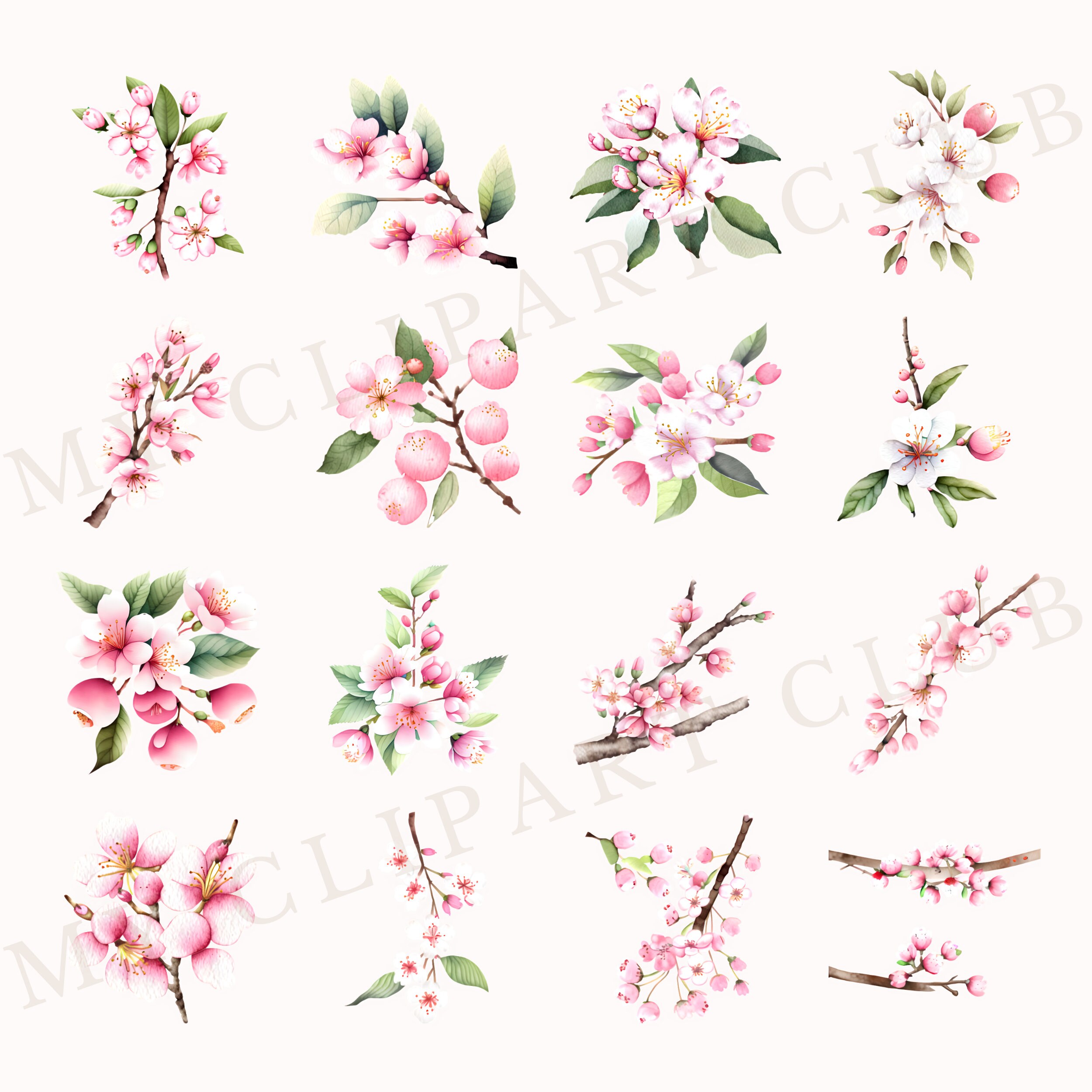 80 PNG Watercolor Cherry Blossom Bundle, Blossom PNG, Cherry Blossom ...