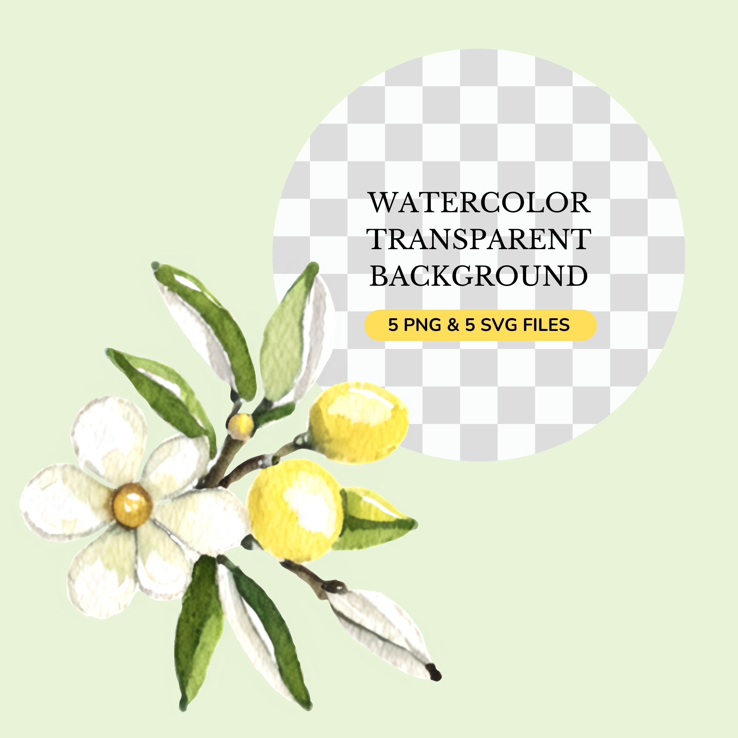 5 Lemon Blossom Watercolor Clipart, Lemon SVG, Blossom Floral Summer ...