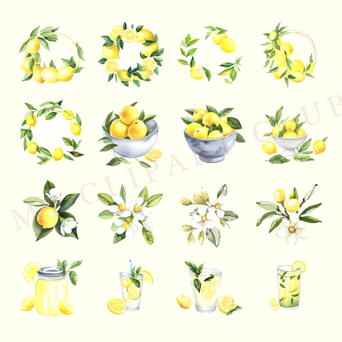 40 Watercolor Lemon Clipart, Lemon PNG, Lemonade, Blossom Floral Summer ...