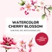 80 PNG Watercolor Cherry Blossom Bundle, Blossom PNG, Cherry Blossom ...