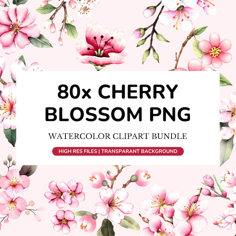 80 PNG Watercolor Cherry Blossom Bundle, Blossom PNG, Cherry Blossom ...