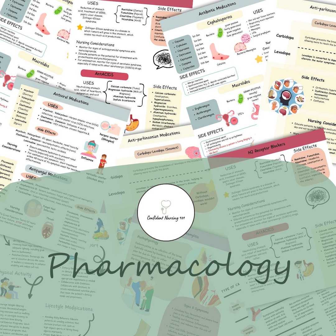 Pharmacology Student Nursing Study Guide Bundle, Study Notes for ...
