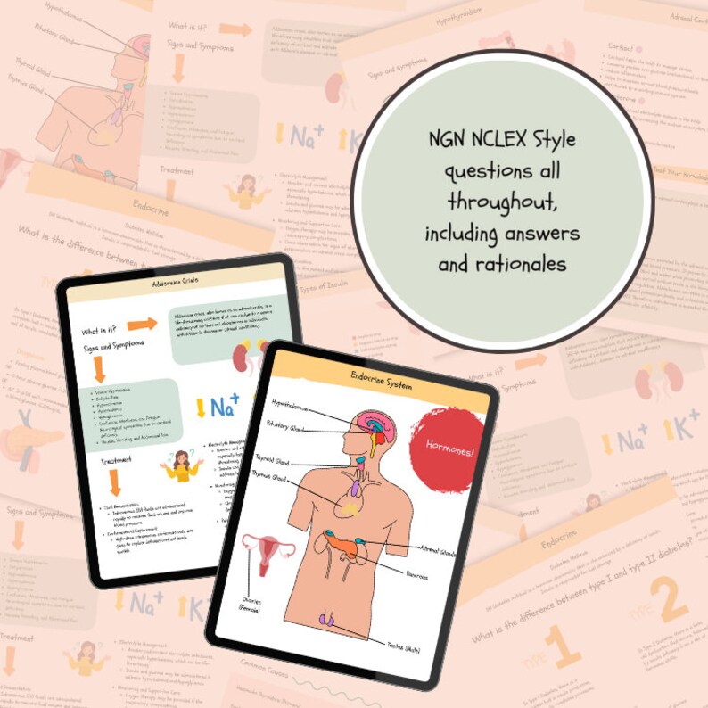 Endocrine System Nursing Study Guide, Endocrine Disorders, Endocrine ...