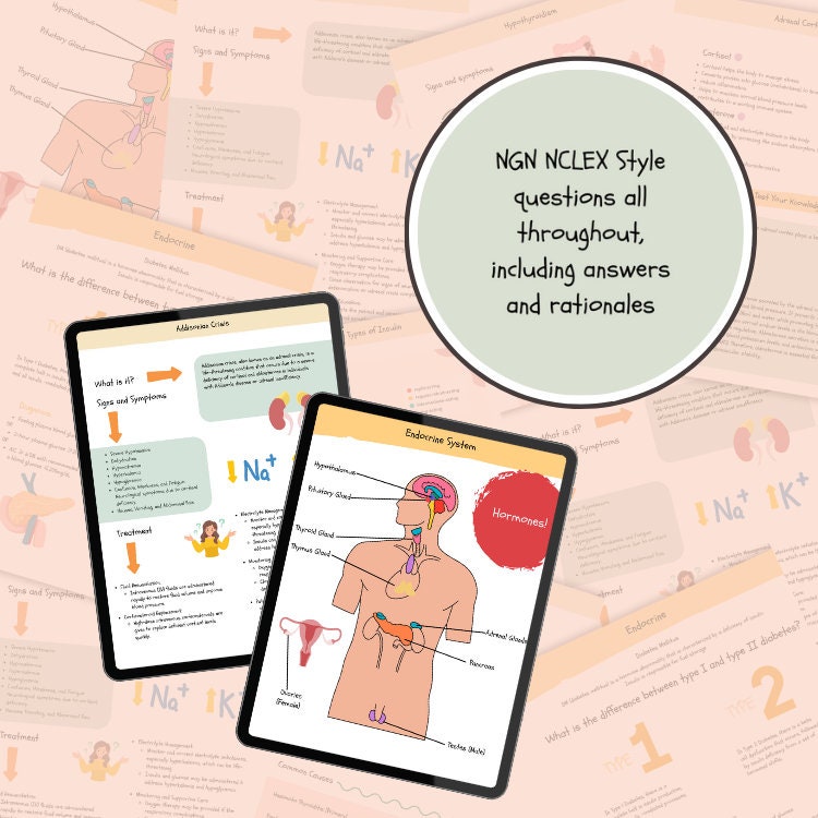 Endocrine System Nursing Study Guide, Endocrine Disorders, Endocrine ...
