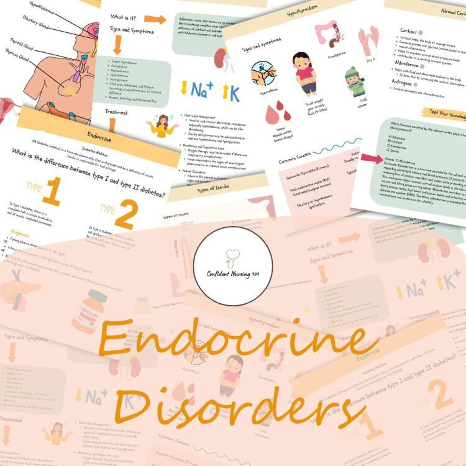 Endocrine System Nursing Study Guide, Endocrine Disorders, Endocrine ...