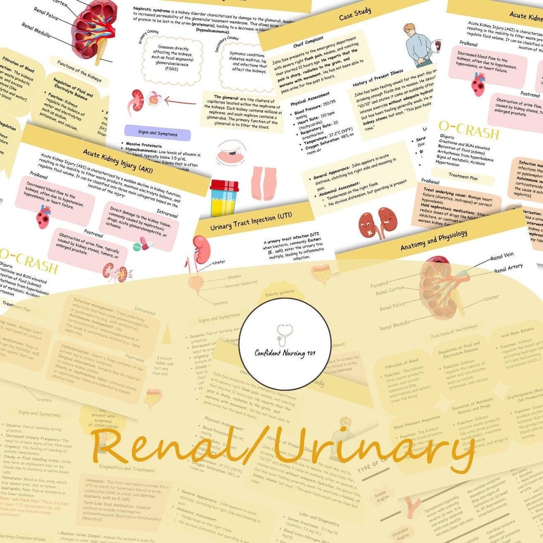 Renal Nursing Study Guide, Study Note for Nurse, Nursing School Urinary ...