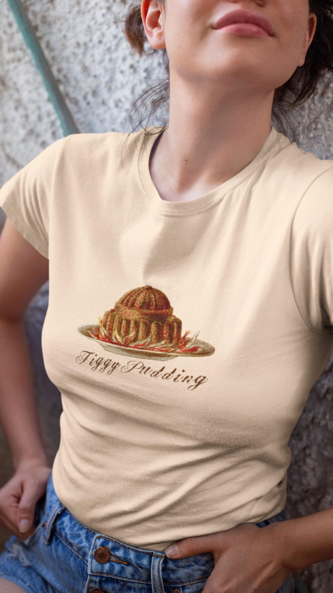 Figgy Pudding Long Fitted Vintage Graphic T-shirt, Retro Painted ...