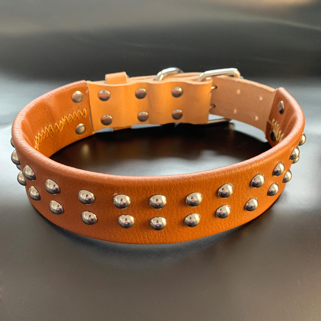 Double Row Round Rivet Cowhide Dog Collar With Adjustable Length Metal ...