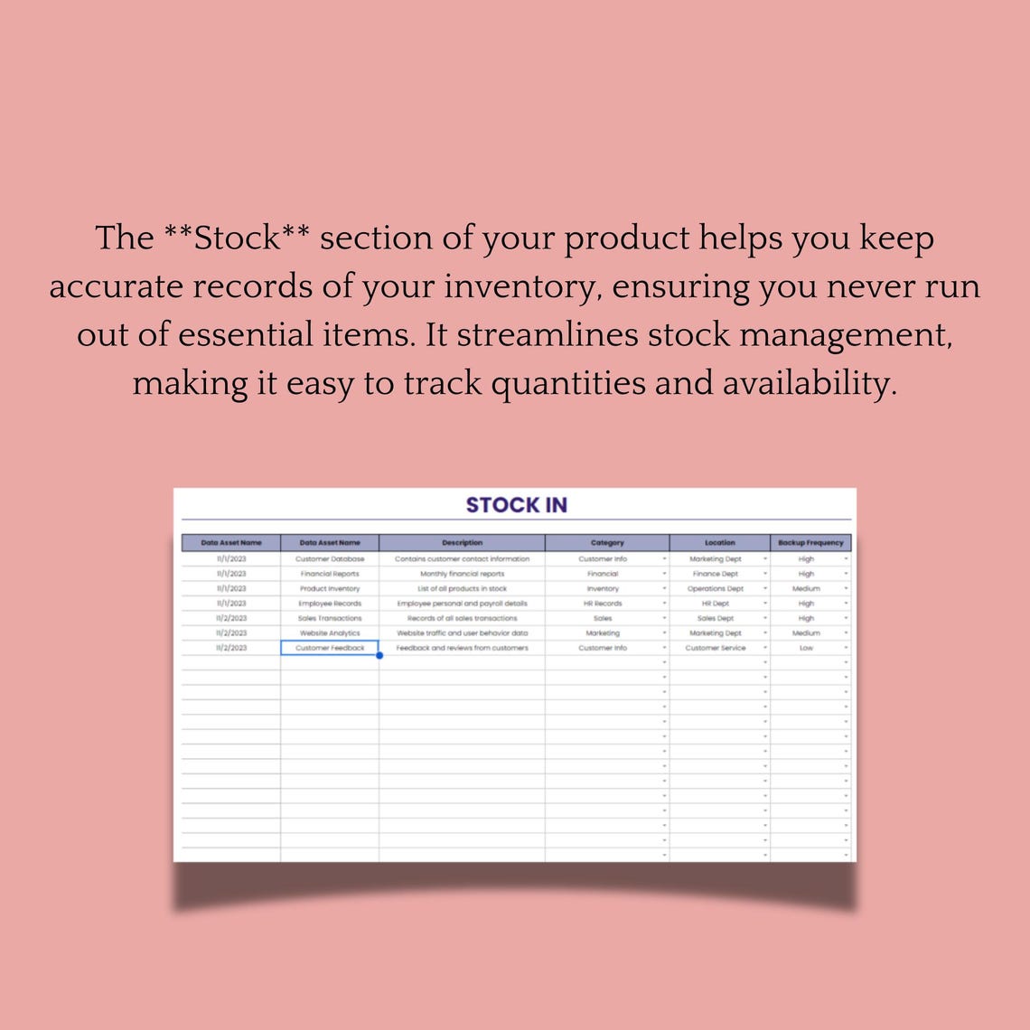Data Inventory Template – Google Sheets Tracker, Editable Spreadsheet ...