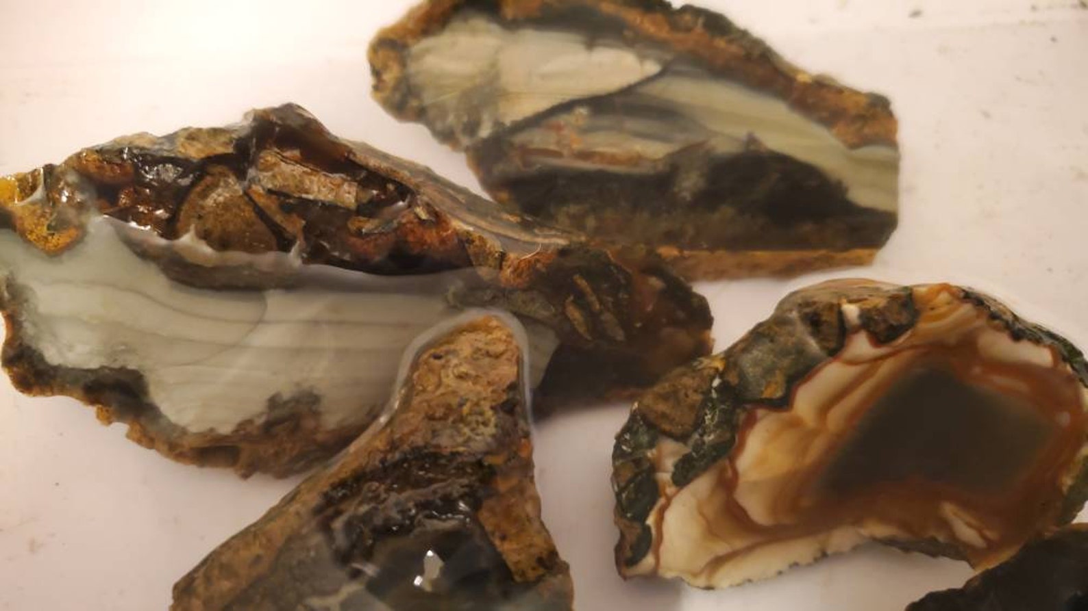 2lb Blue MT Jasper Small Cabbing Rough Rock Various Patterns - Etsy