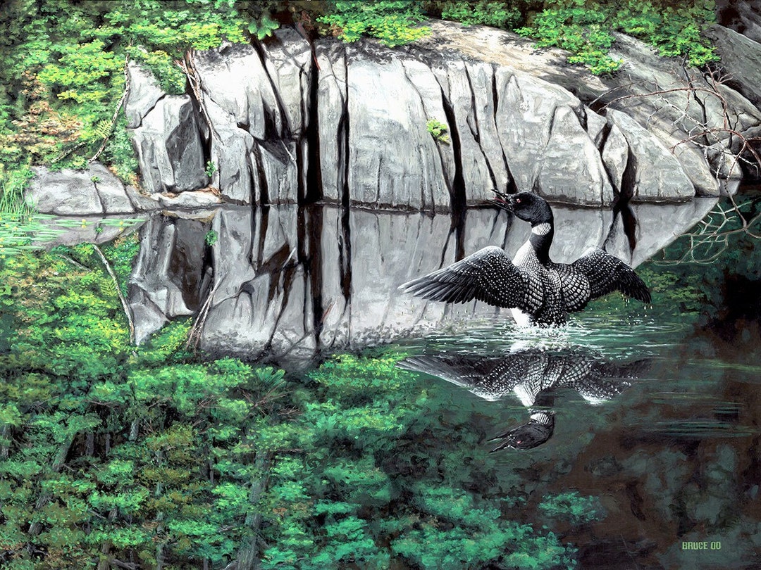 Common Loon Birds Shoreline Rocks Reflection Giclee Fine Art Print - Etsy