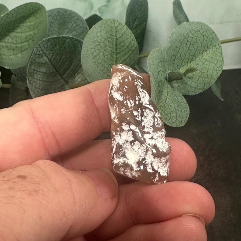 Pink Petrified Wood Fossil Specimen | Real Authentic Fossil Wood From ...
