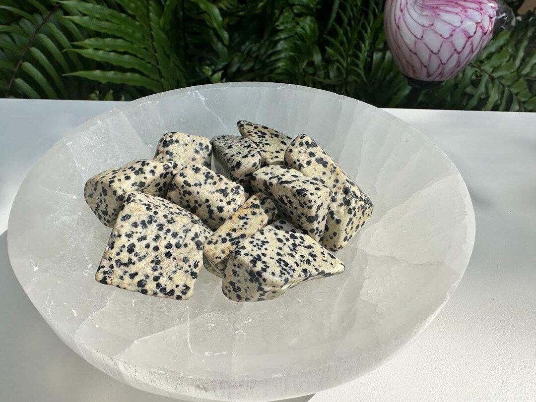 Dalmatian Jasper / Dalmatian Stone Tumble - Etsy