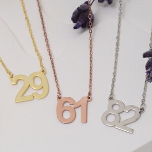 Dainty Number Necklace, Custom Gold Necklace, Year Necklace , Aria ...