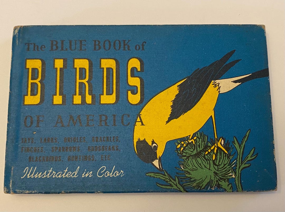 The Blue Book of BIRDS of America Small Vintage Hardcover Book With ...