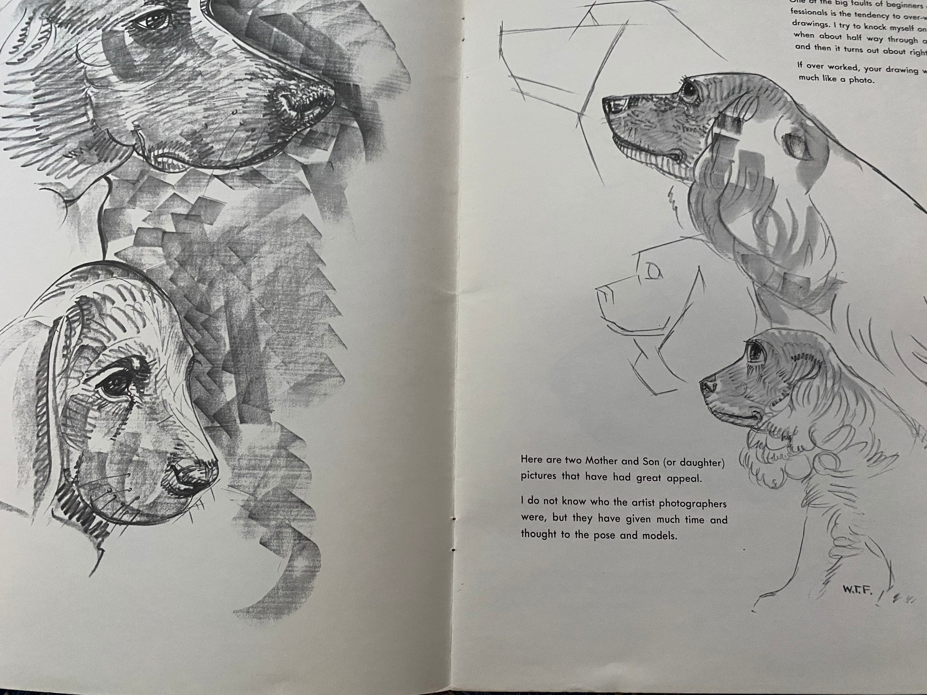 Walter Foster How to Draw DOGS Art Instruction Book 1960’s Collectible ...
