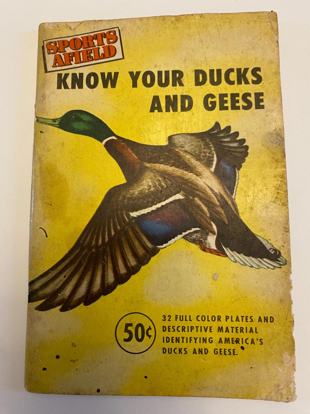 Know Your Ducks and Geese 32 Ducks and Geese Identified With Color Illustrations Vintage 1952 ...