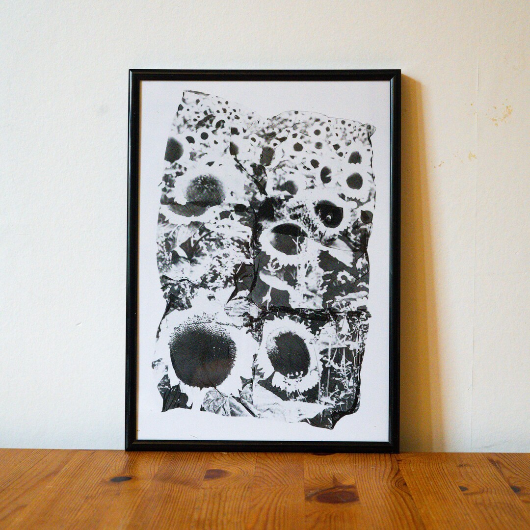Sunflower Field [greyscale] - Version 2 - A4 Art Wall Print - 8.3 X 11. ...