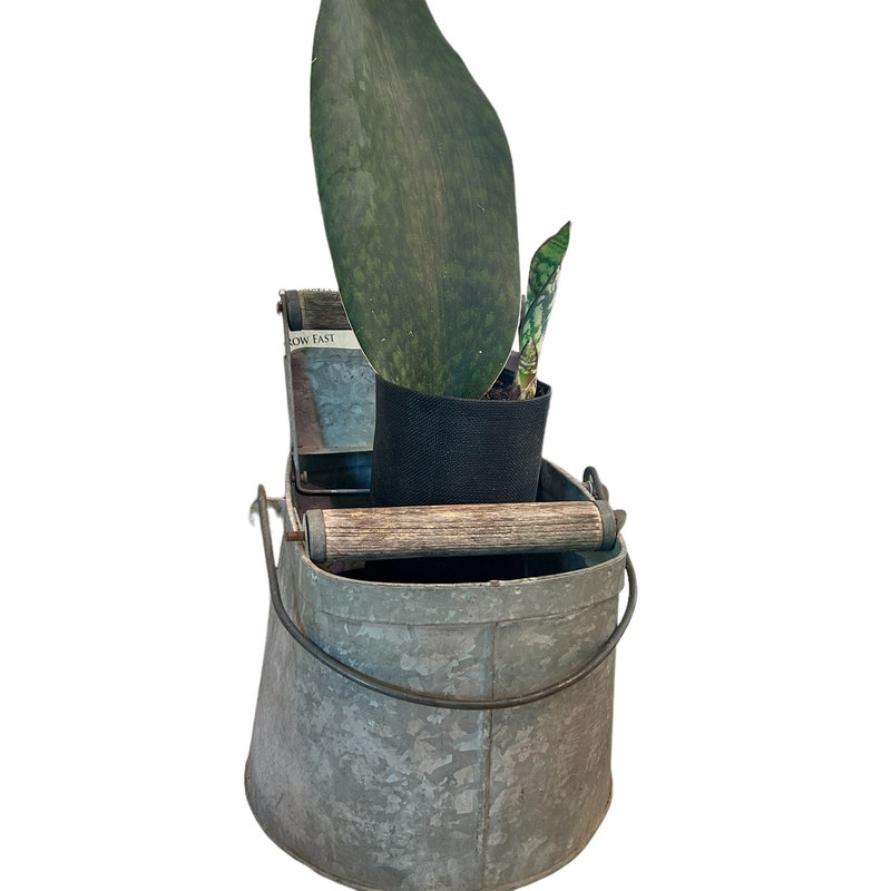 Octopot - Etsy