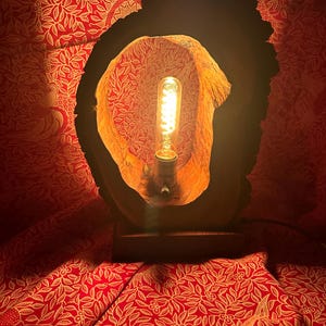 Tree Slice as a Lamp , Real Wood Lamp, Tree Trunk With Light Bulb, Real ...