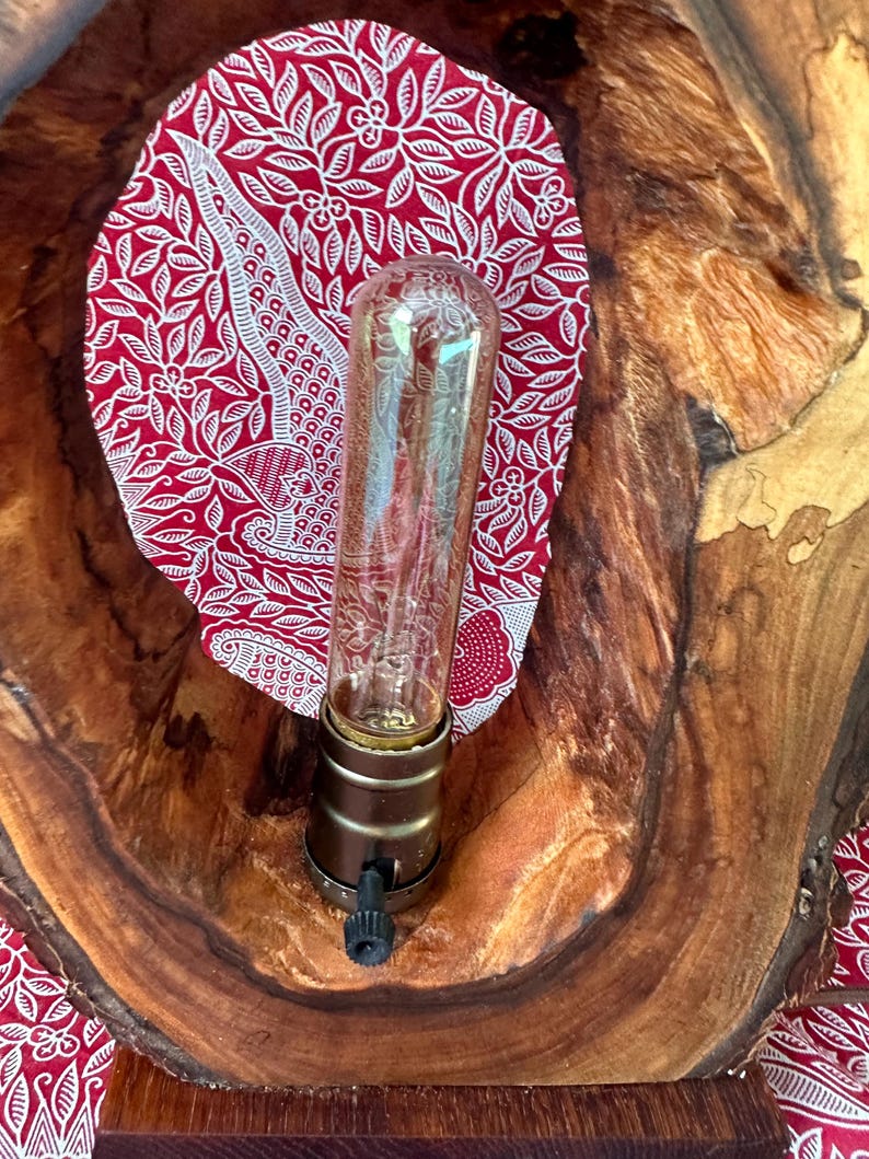 Tree Slice as a Lamp , Real Wood Lamp, Tree Trunk With Light Bulb, Real ...