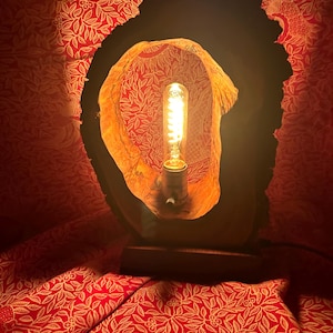Tree Slice as a Lamp , Real Wood Lamp, Tree Trunk With Light Bulb, Real ...