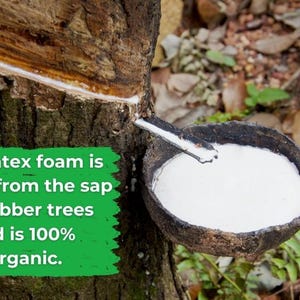 Latex Mattress Pad | Organic Foam Topper | Dunlop Latex Bed Topper ...