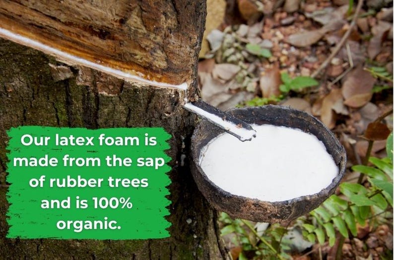 Organic Dunlop Latex Mattress Topper | Natural Foam Pad - Etsy