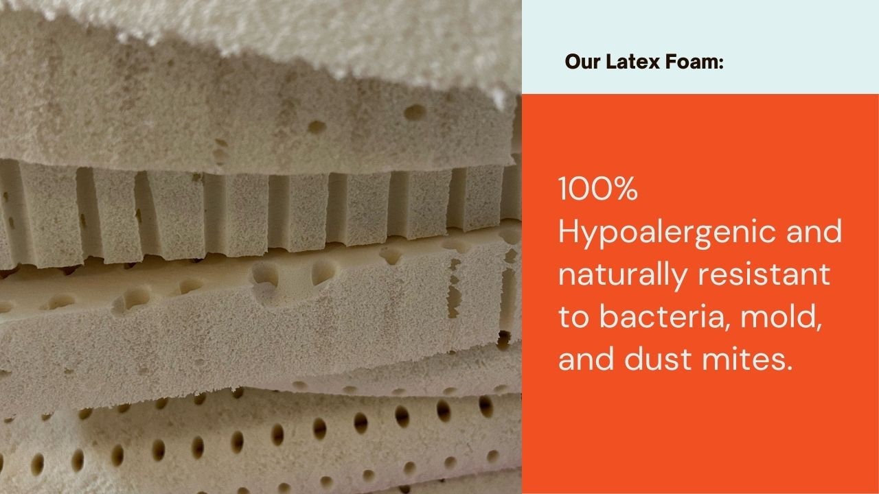 Organic Foam | Latex Scrap | Rubber Foam | Natural Foam | DIY Foam ...