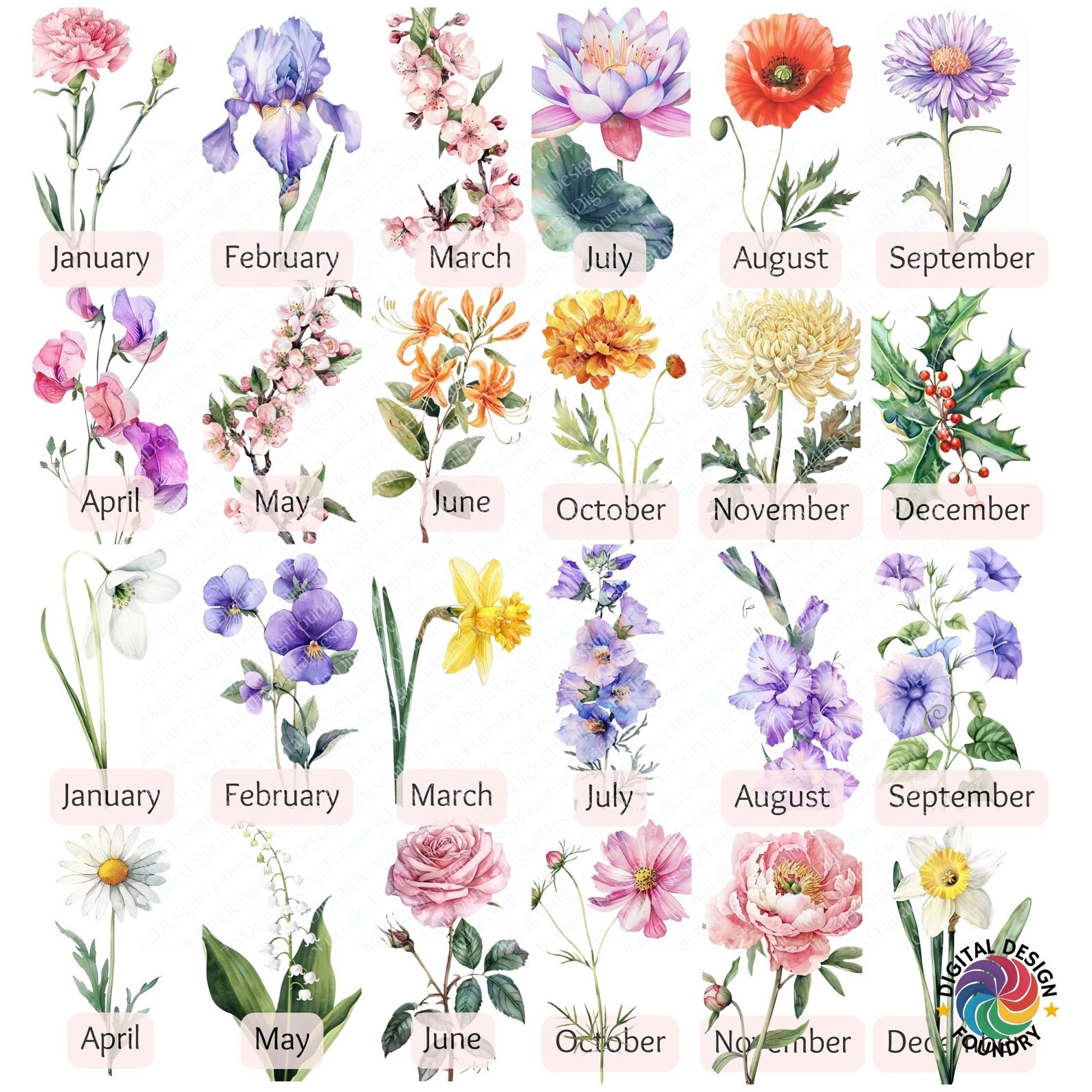 96 Watercolor Birth Month Flower Clipart Floral Birthday Pngs 2 for ...