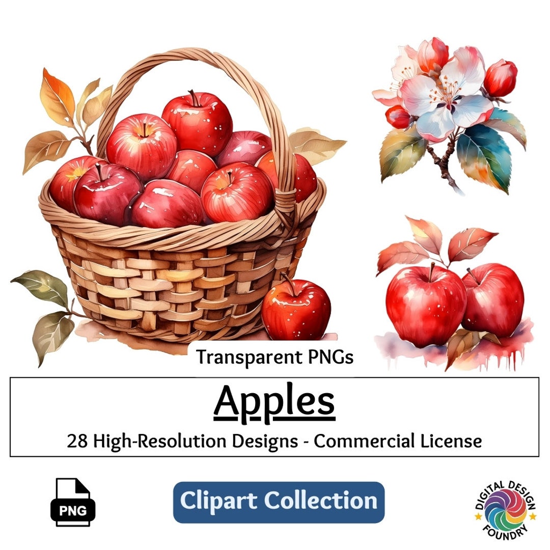 Apple Watercolor Clipart | 28 Pngs | Vibrant Fruit Illustrations ...