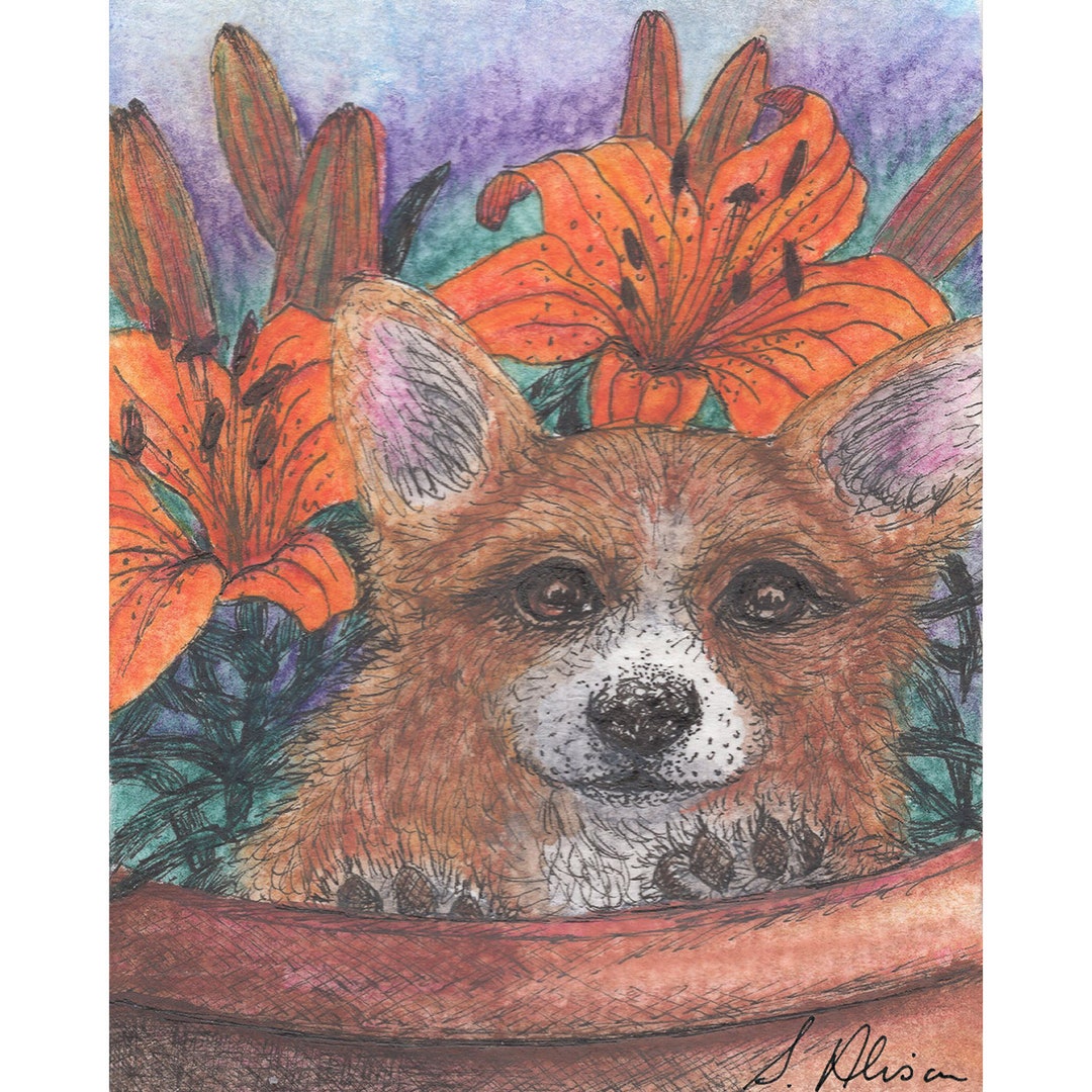 Welsh Corgi Dog 5x7 8x10 Print Container Gardening Flower Pot Lily ...