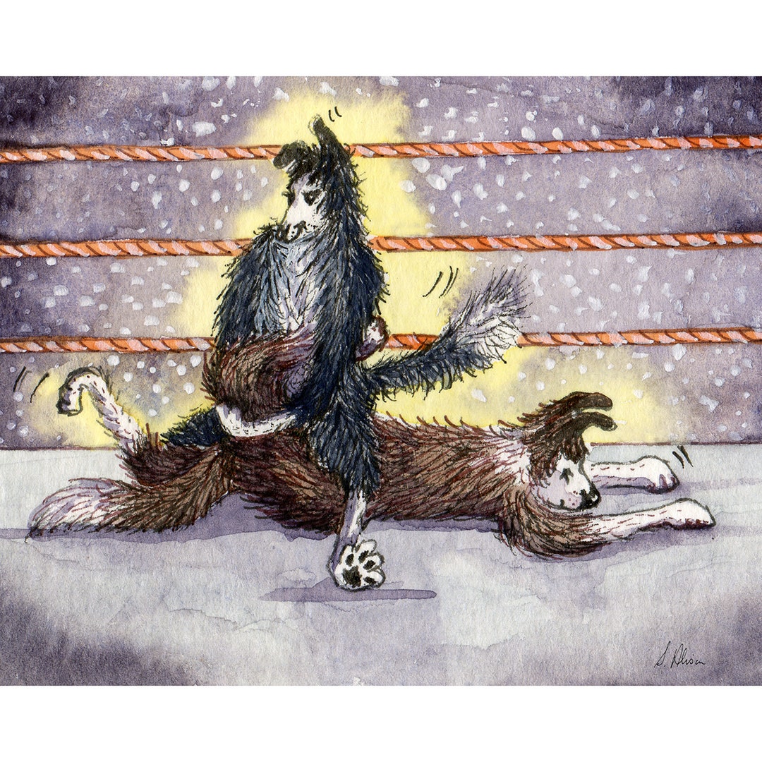 Wrestling Border Collie Dog 8x10 & 5x7 Inch Signed Print Poster From a ...