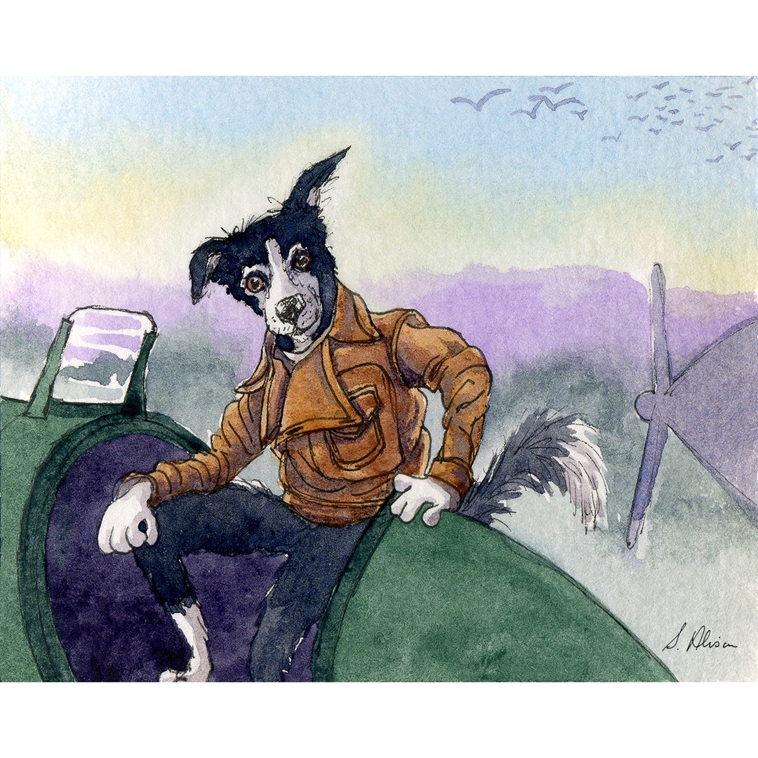 Border Collie Dog 5x7 and 8x10 Art Print High Flier the Aviator Jacket ...