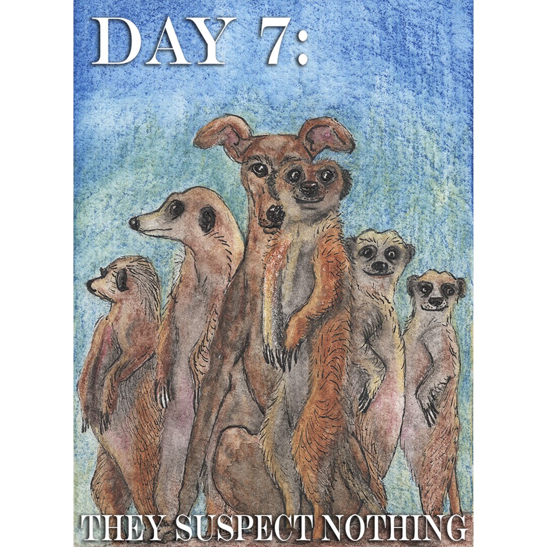 Meme Meercat Meerkat Whippet Greyhound Dog Print 5x7 & 8x10 Lurcher ...