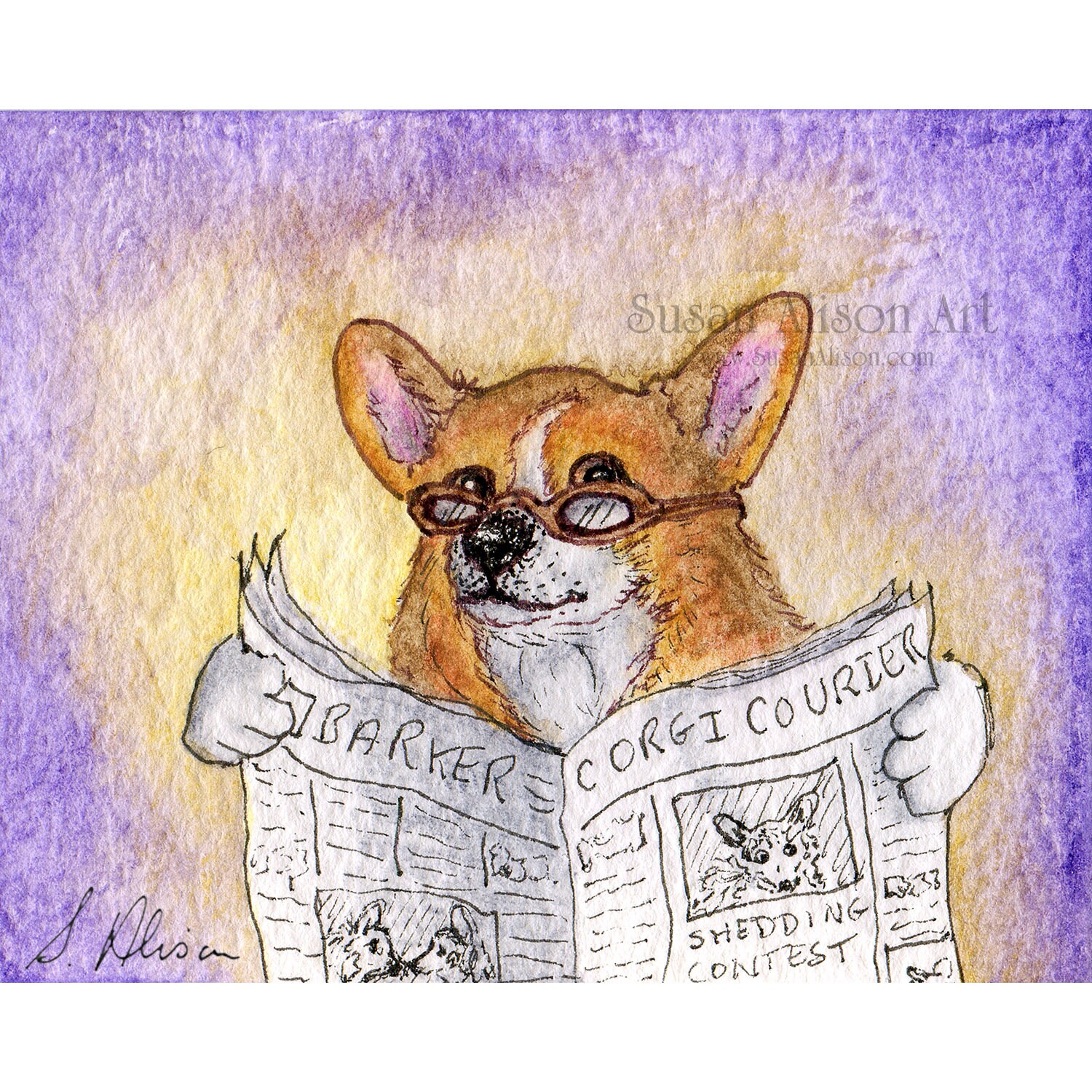 Corgi Reading