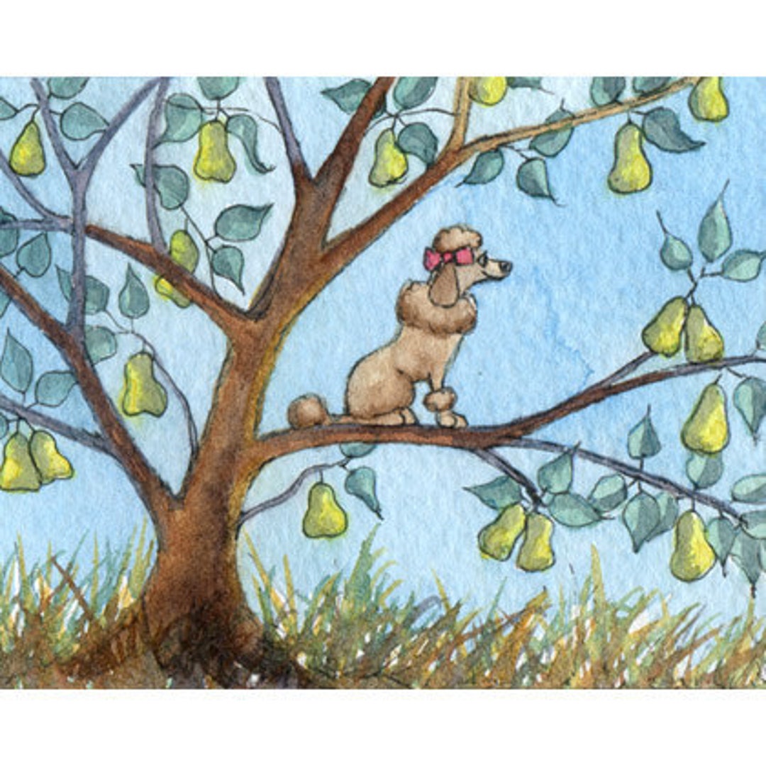 Poodle Dog Pear Tree 5x7 & 8x10 Print Poster Carol Song From a Susan ...