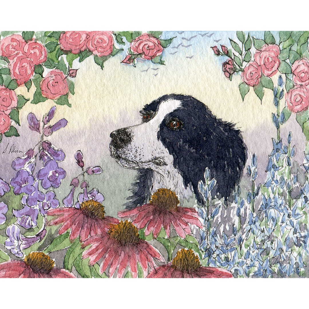 Border Collie Dog 5x7 and 8x10 Art Prints Poster From a Susan Alison ...