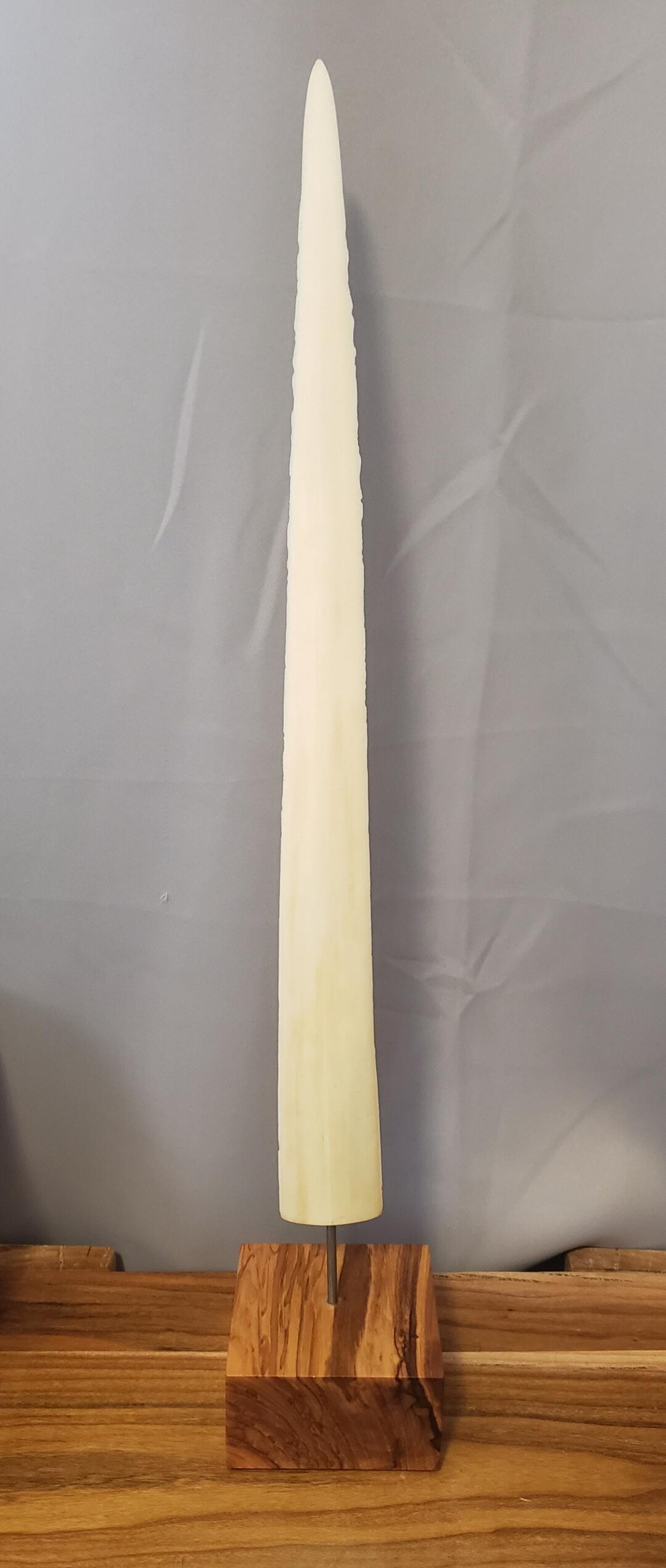 Real Swordfish Bill on Custom Olive Wood Base Beautiful FREE SHIPPING ...