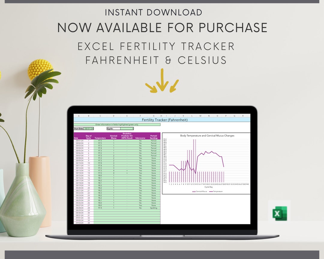 Fertility Planner Spreadsheet - Etsy